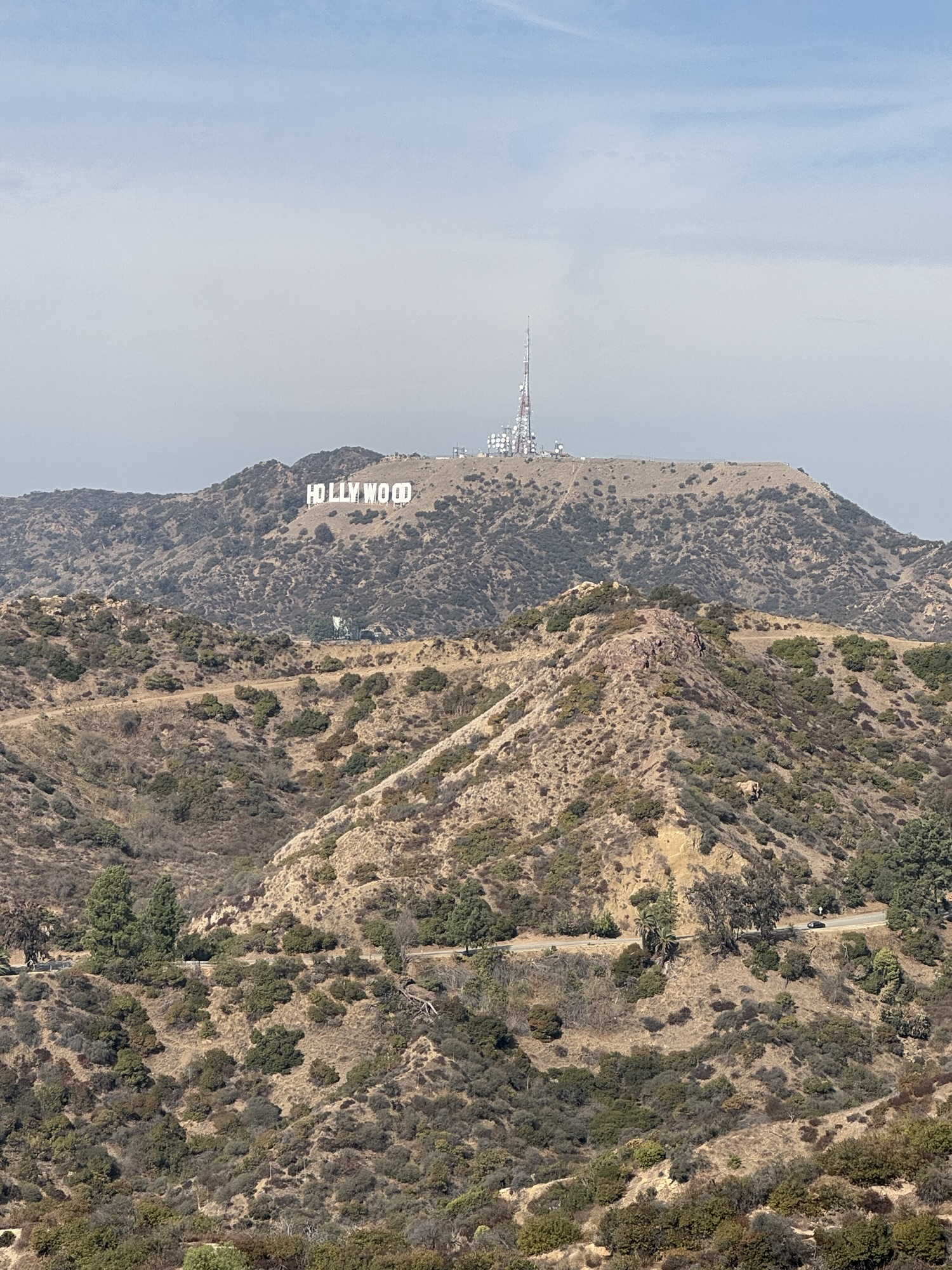 New Neighborhood – julesee